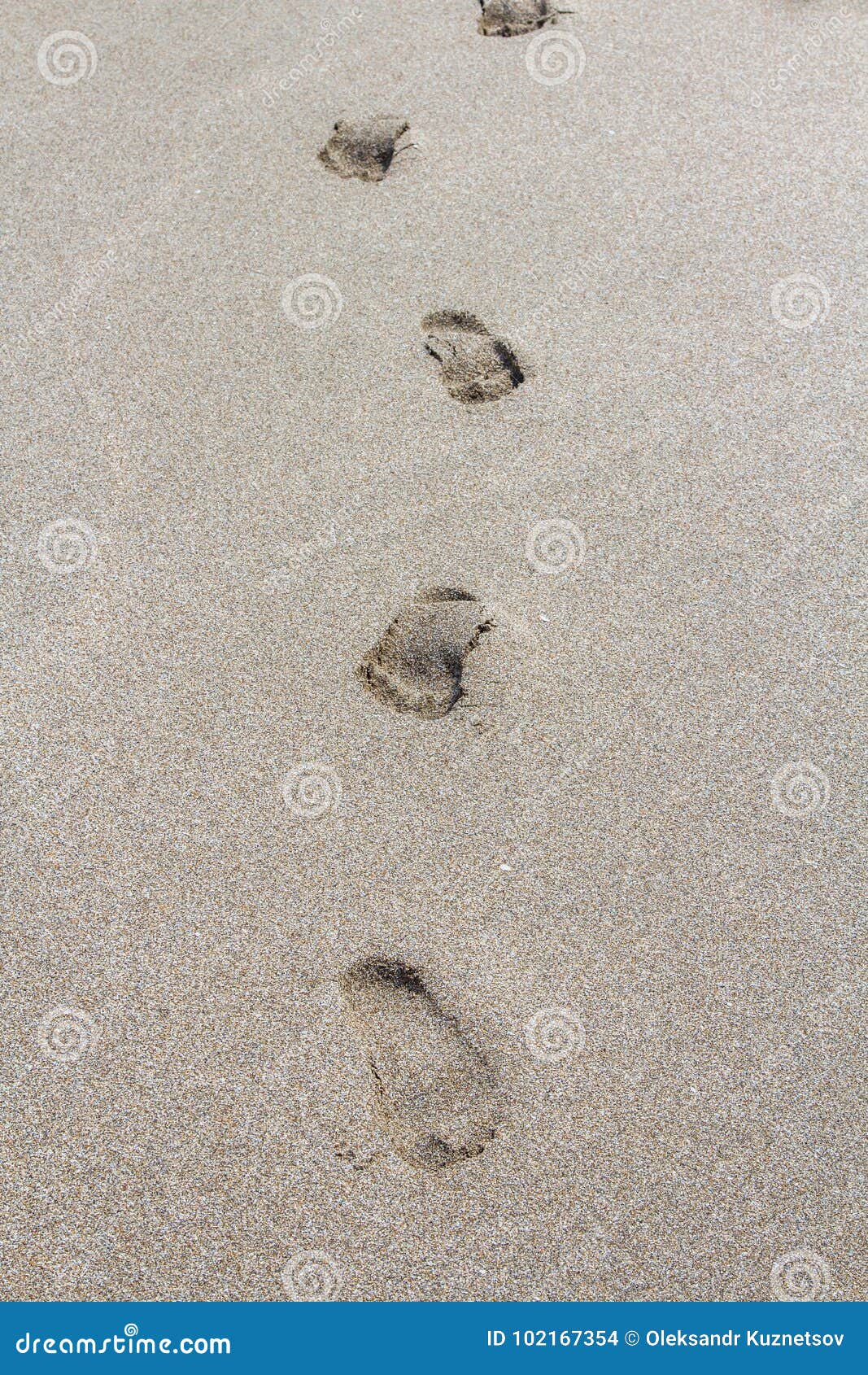 Footprints Path in Wet Sand of Beach Stock Photo - Image of desolate ...