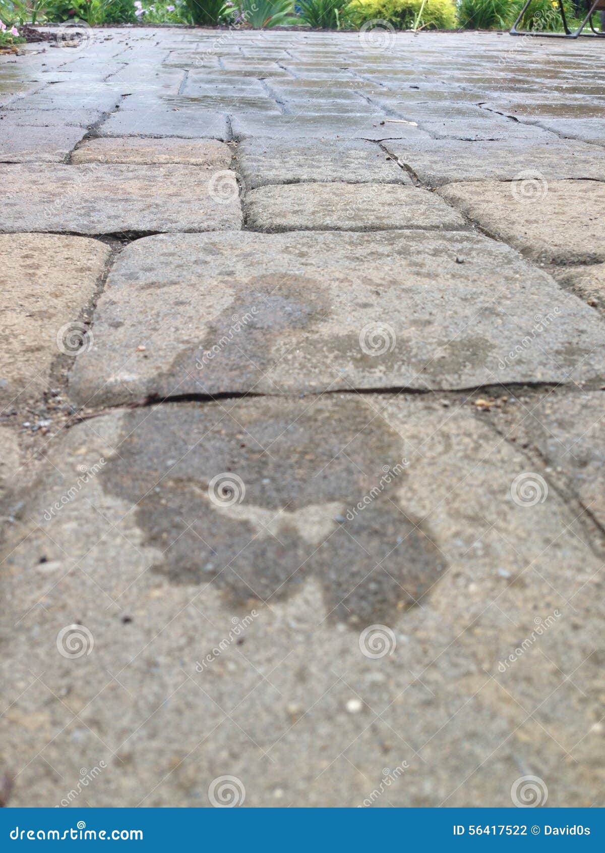 Footprints on the Pavement stock photo. Image of pavement - 56417522