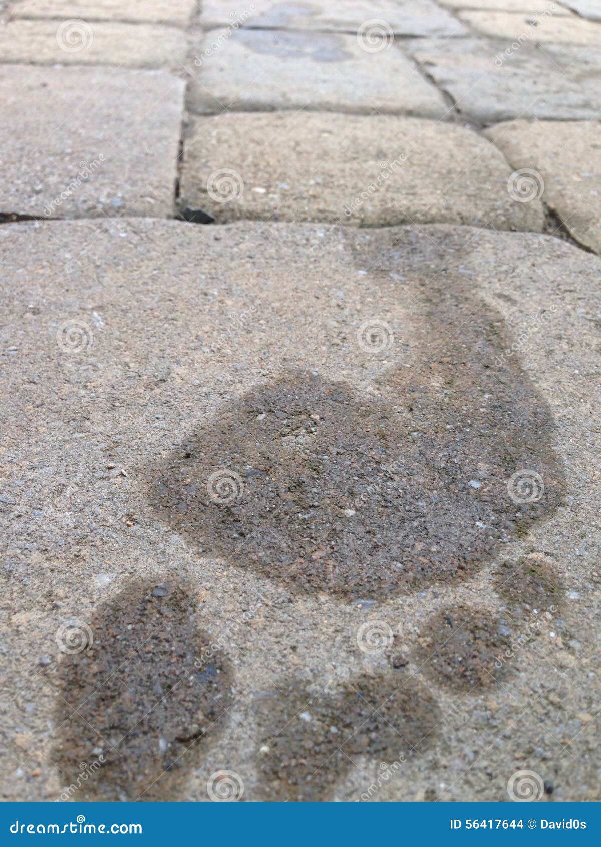 Footprints on the Pavent stock photo. Image of sand, gravel - 56417644
