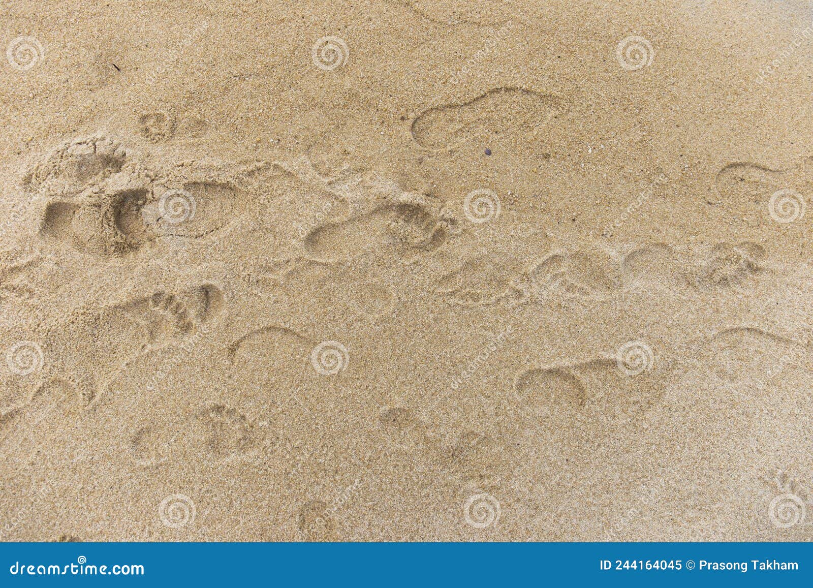 Footprints of People Walking on the Sand Stock Image - Image of ...