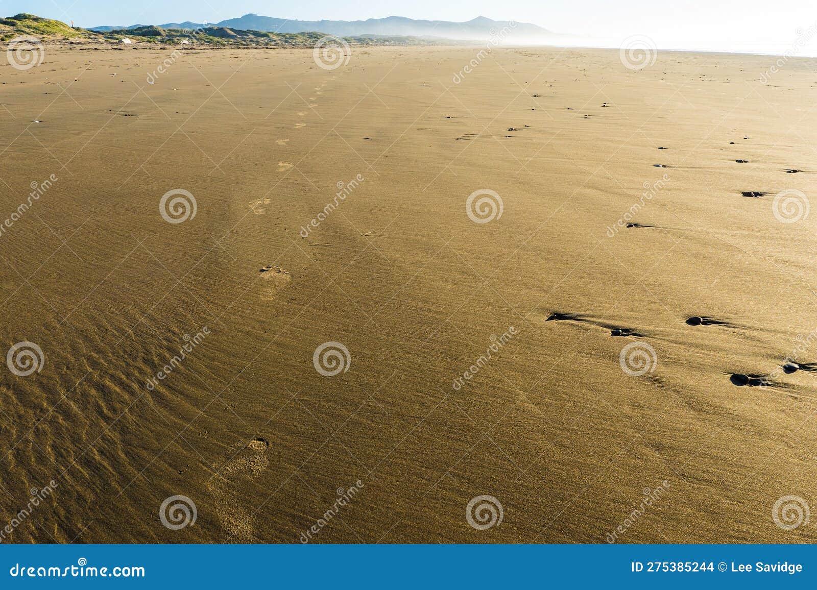Footprints from Runner on Beach in Hard Sand Stock Photo - Image of ...