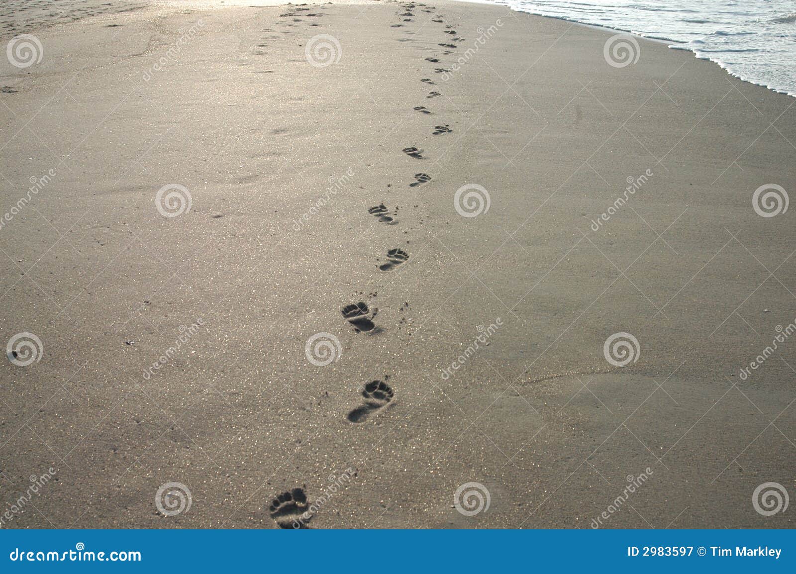 Footprints In The Red Sands Of The Kingdom Of Saudi Arabia Royalty-Free ...