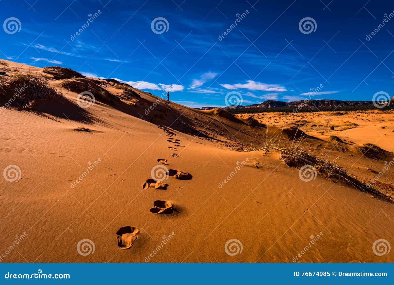 Footprints in the Sand. Alone in the Desert Stock Image - Image of ...