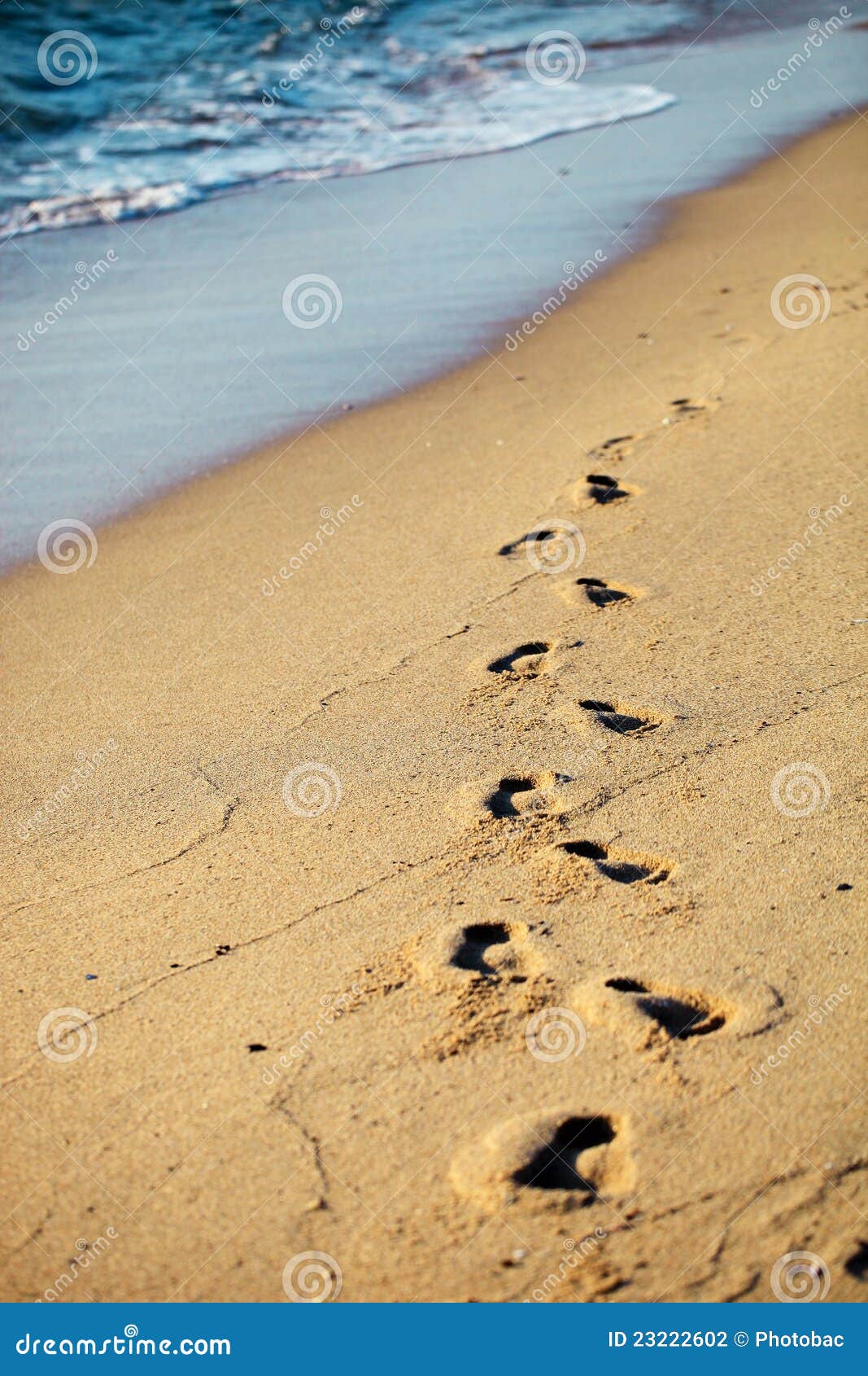 Footprints on sand beach stock photo. Image of black - 23222602