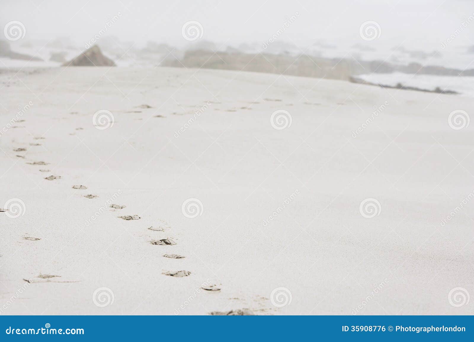Footprints on Sand at Beach Stock Photo - Image of peace, footprint ...