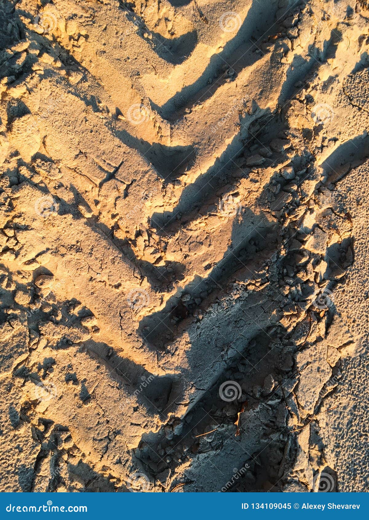 Footprints in the Sand from a Car on the Beach Stock Image - Image of ...