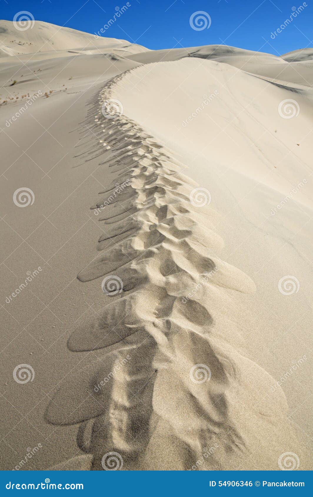 Footprints on Sand Dune Ridge Stock Photo - Image of sandy, tracks ...