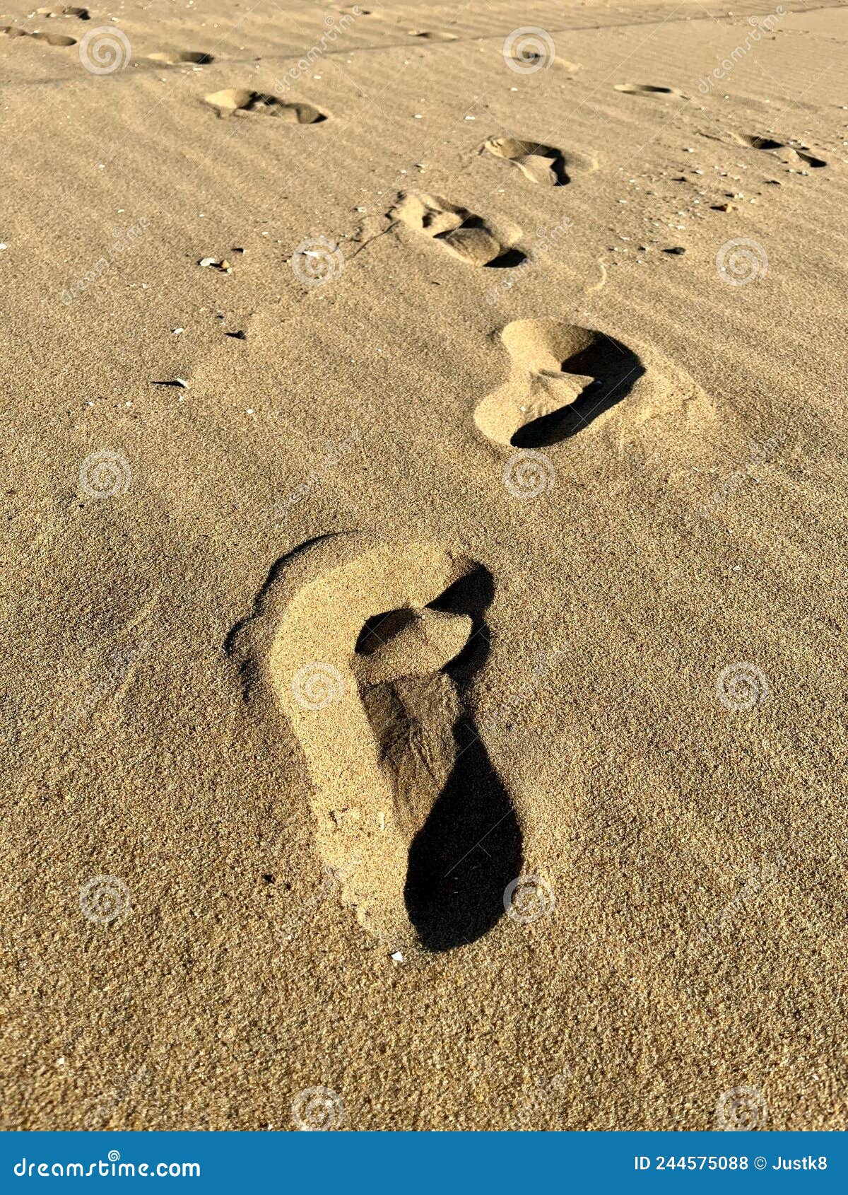 Footprints in sand stock photo. Image of human, sandy - 244575088