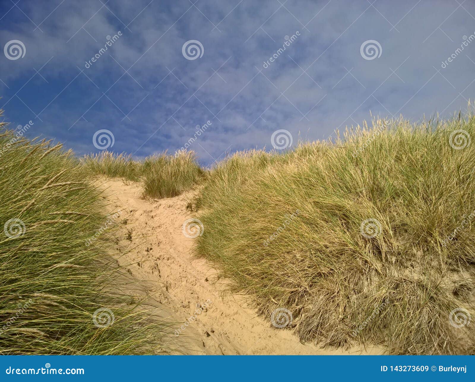 Footpath through the Sand Dunes Stock Image - Image of sunny, vacation ...