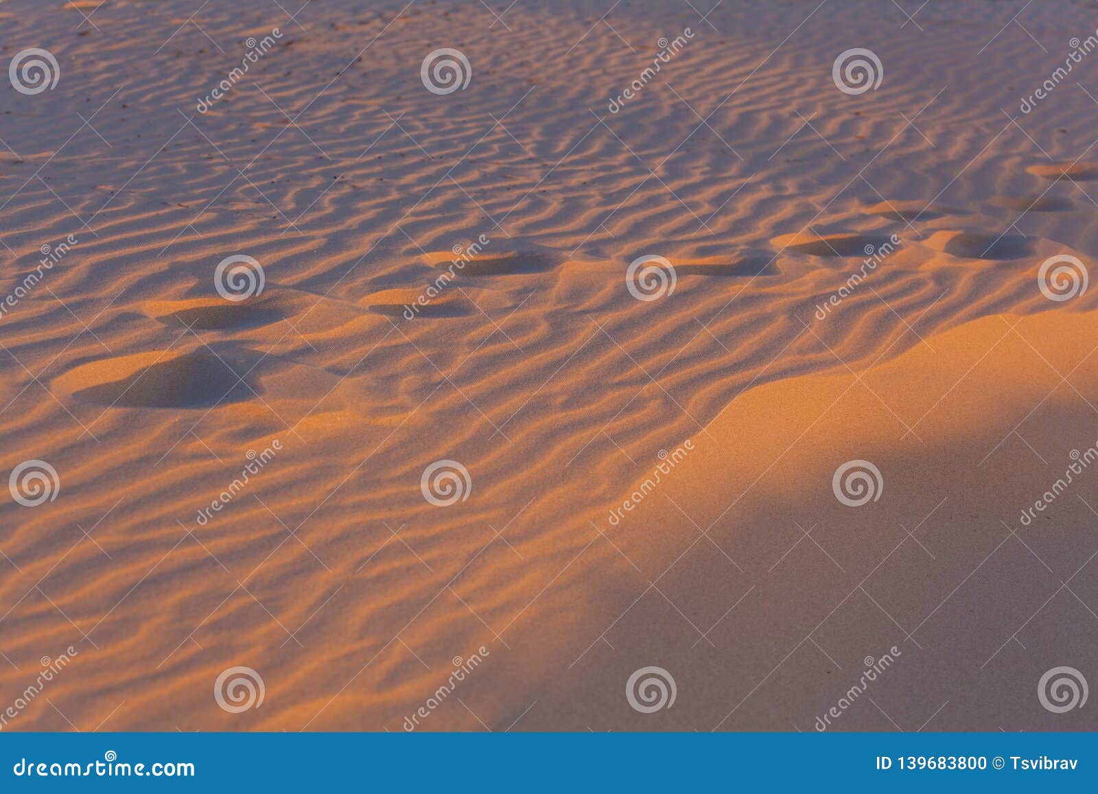 Footprints and Sand Ripples at Sunset. Stock Photo - Image of ecology ...