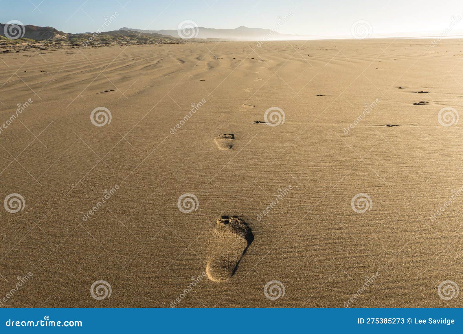 Footprints in the Sand from Runner on the Beach Stock Image - Image of ...