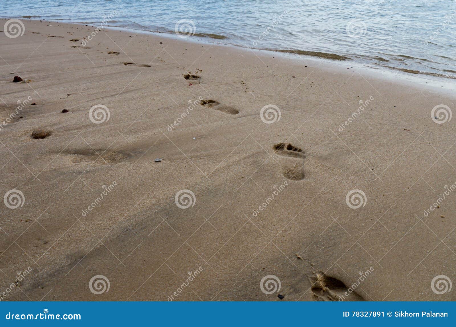 Footprints on the sand stock image. Image of outdoor - 78327891