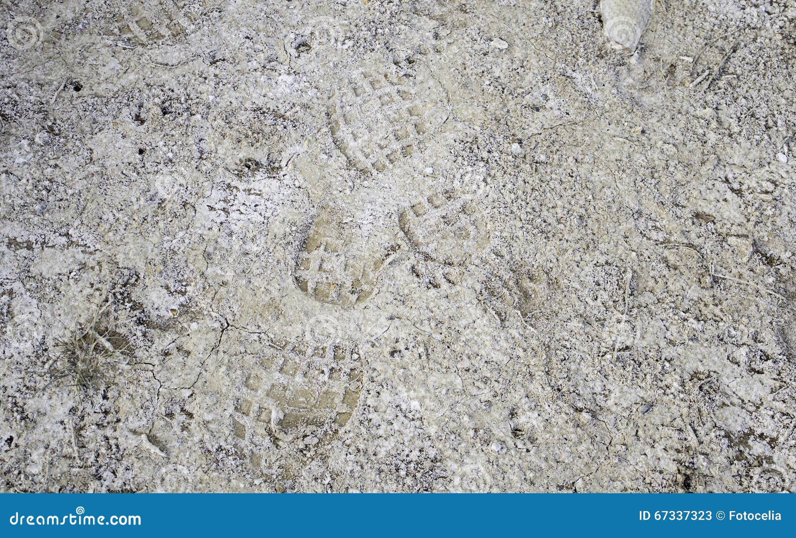 Footprints shoe land stock image. Image of footprints - 67337323