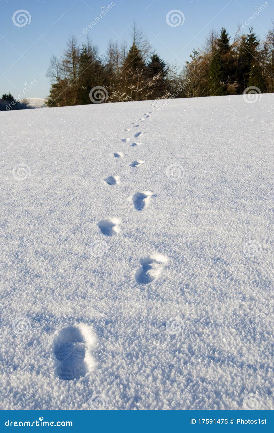 Footprints in snow stock image. Image of isolation, footprints - 17591475
