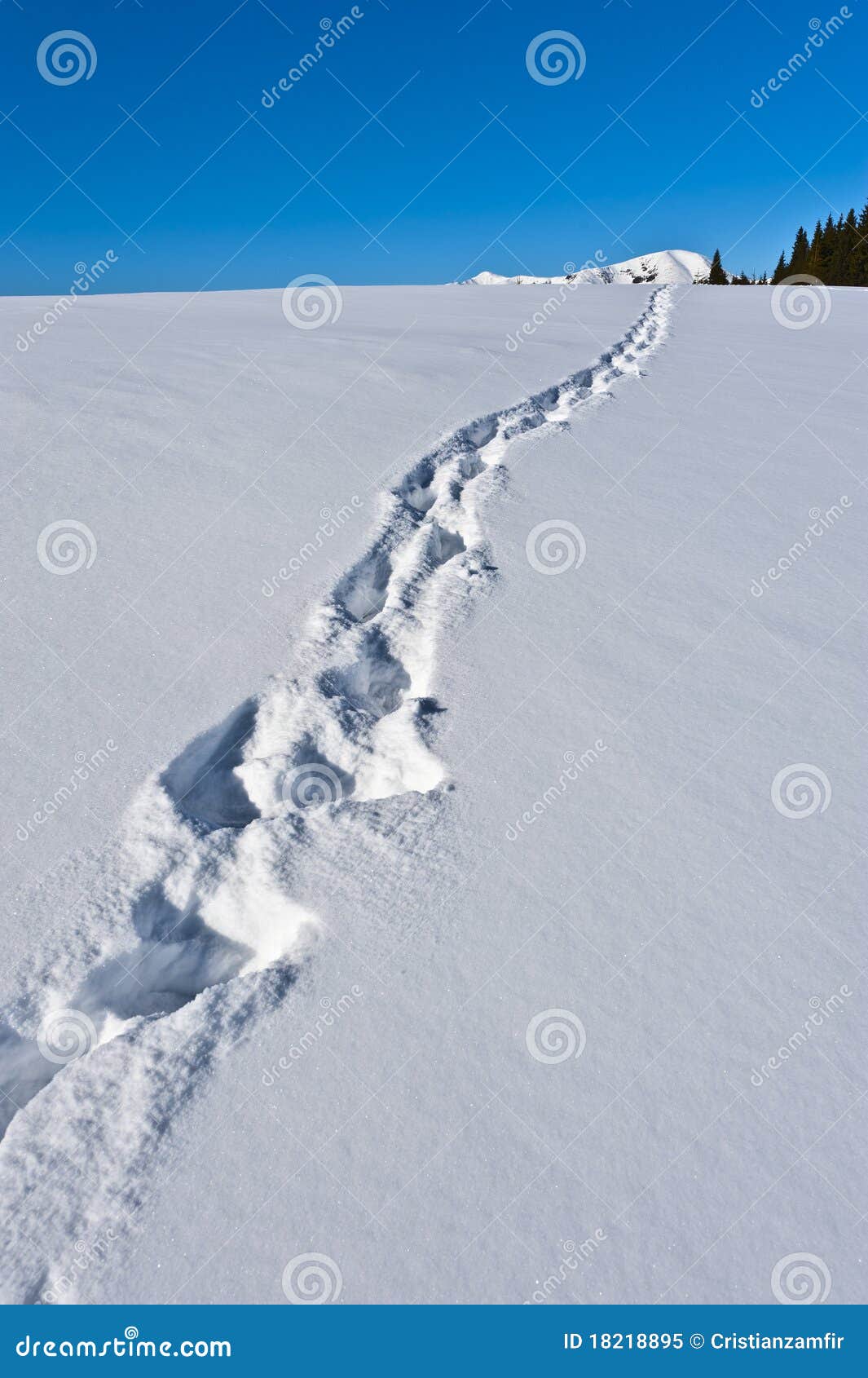 Footprints in the snow stock image. Image of cold, print - 18218895