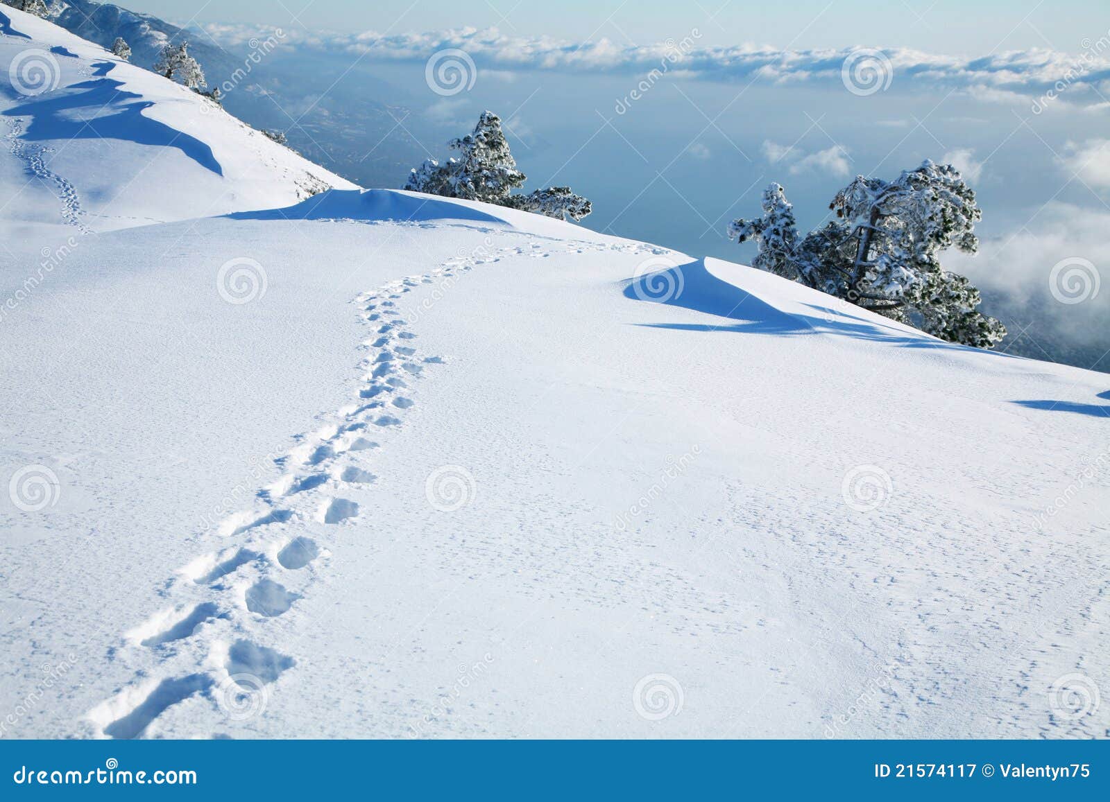 Footprints In The Snow. Winter Snow Background Royalty-Free Stock ...