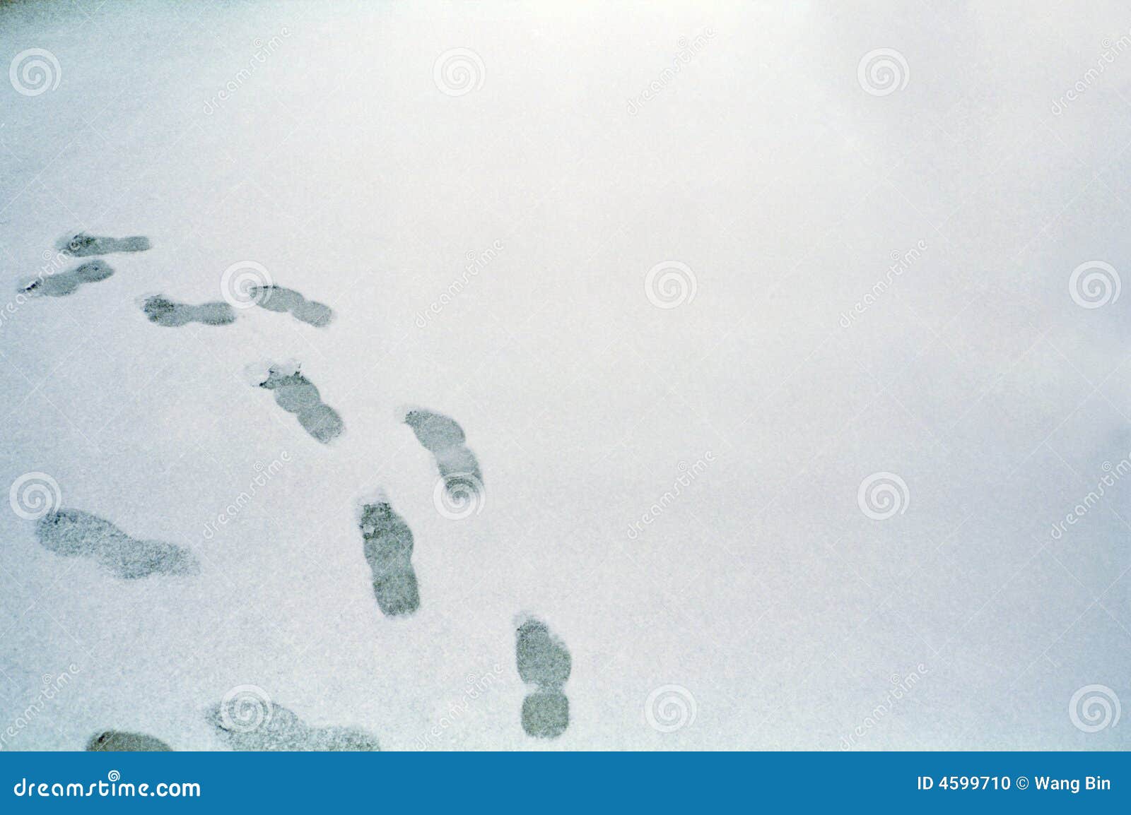 Footprints on the snow stock photo. Image of prints, frozen - 4599710