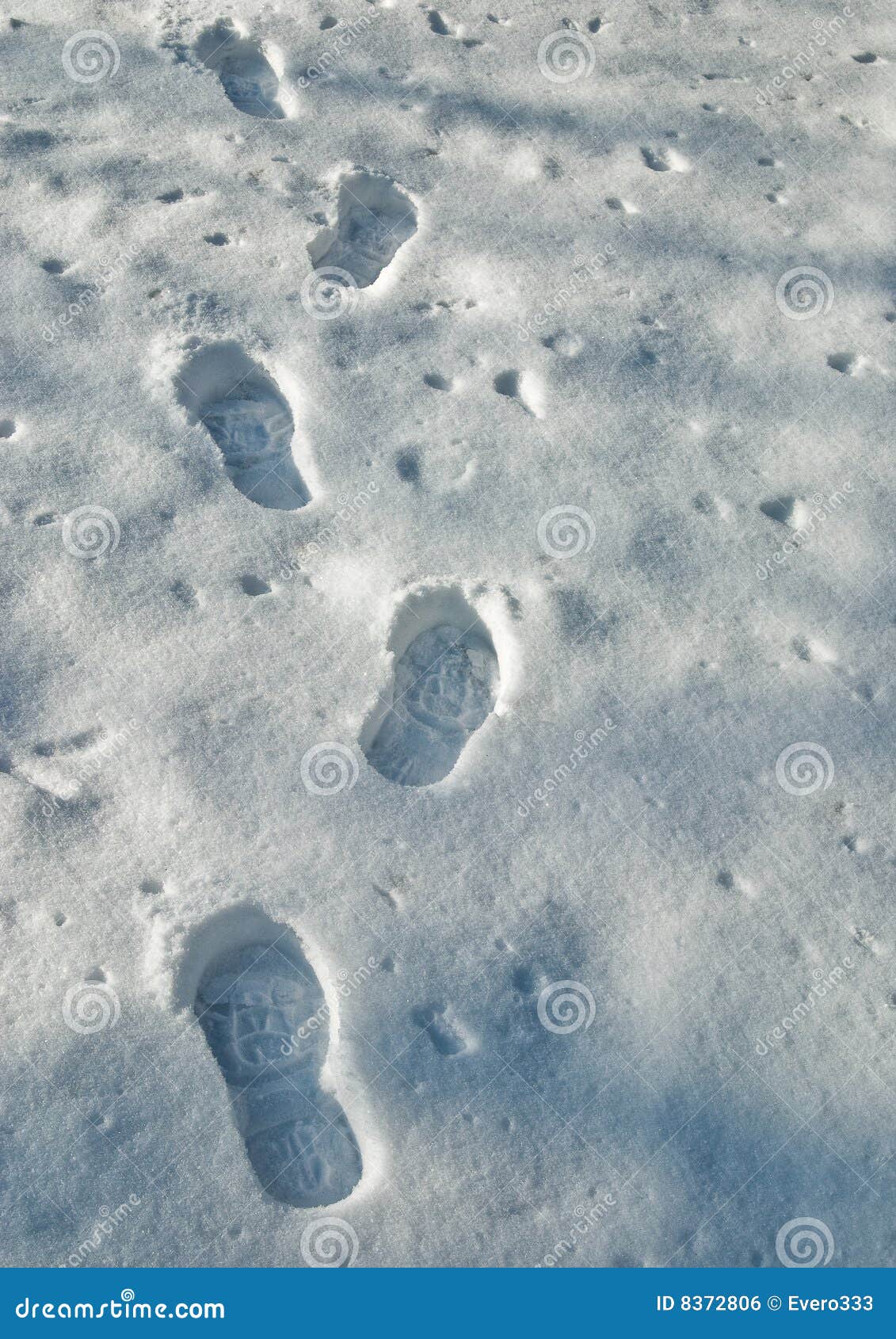 Footprints on the snow stock photo. Image of frost, human - 8372806