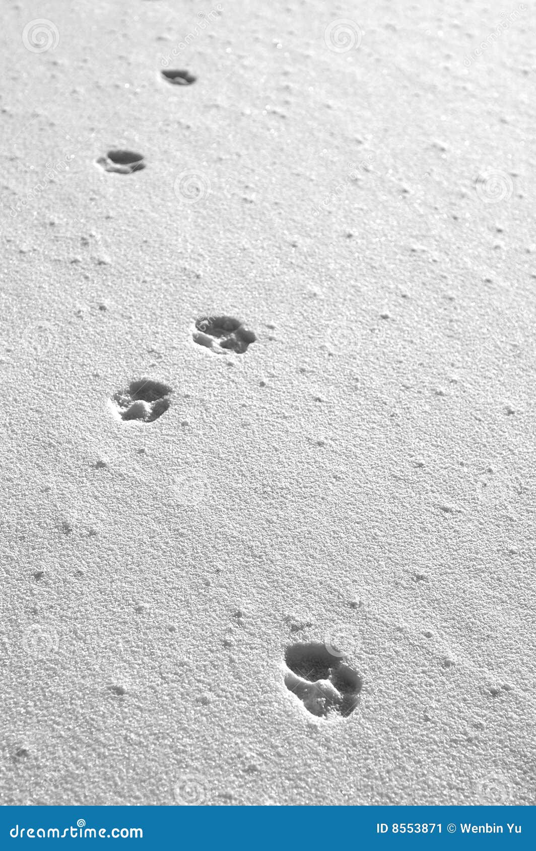 Row Footprints Earth Stock Photos - Free & Royalty-Free Stock Photos ...