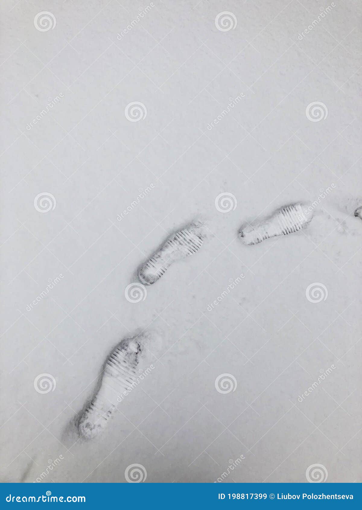Footprints in the Snow, the First Snow in the Winter Stock Image ...