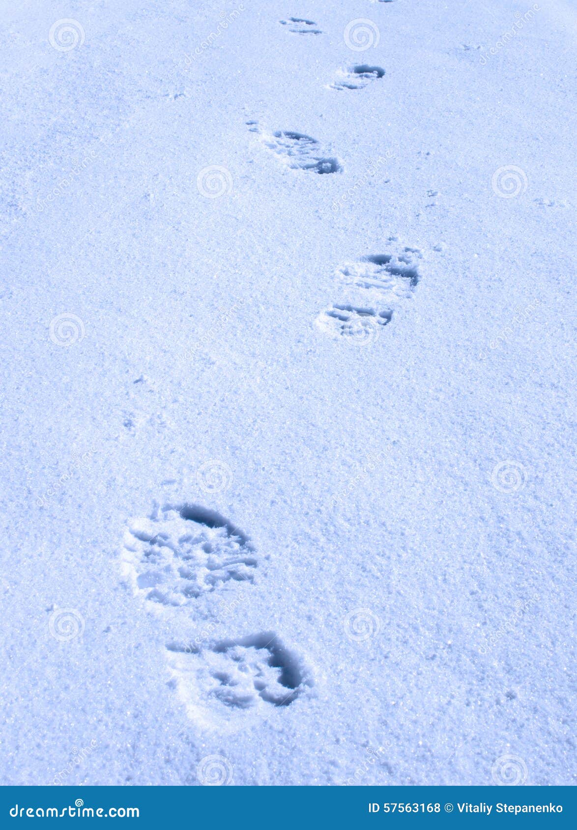 Footprints in the snow stock photo. Image of nature, footprint - 57563168