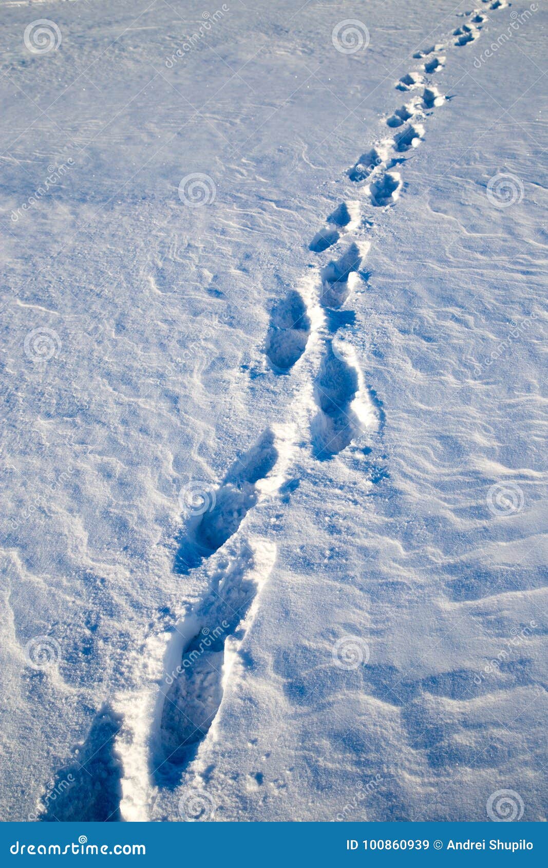 Footprints in the snow stock image. Image of scenery - 100860939