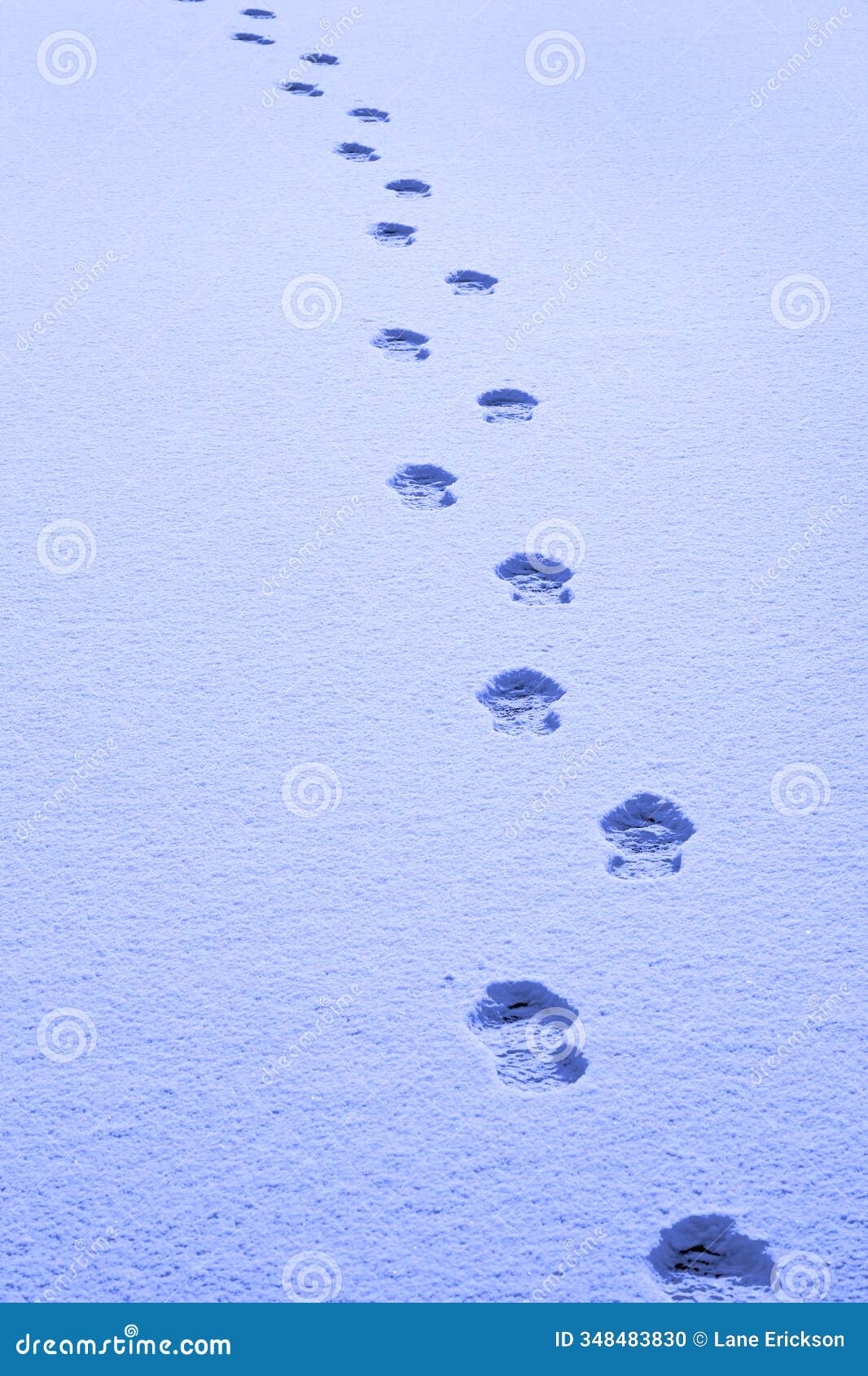 Footprints in the Snow Show a Path for Progress Walking Alone Solitary ...