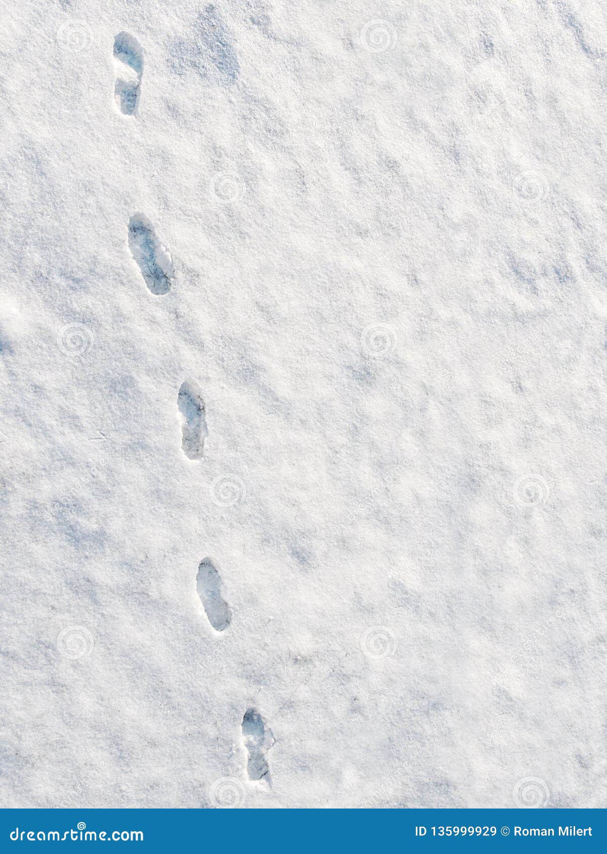 Footprints In The Snow. Winter Snow Background Royalty-Free Stock ...