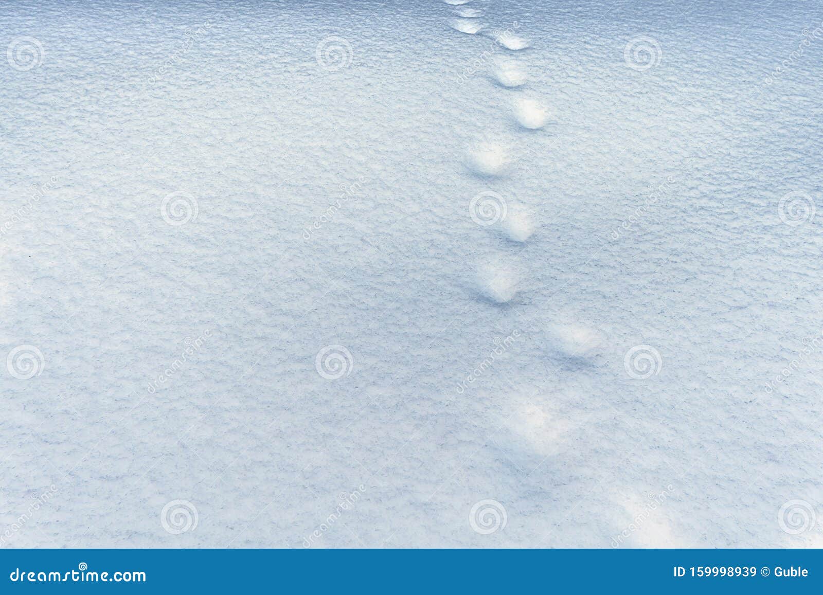 Footprints in the Snow. Winter Snow Background Stock Image - Image of ...