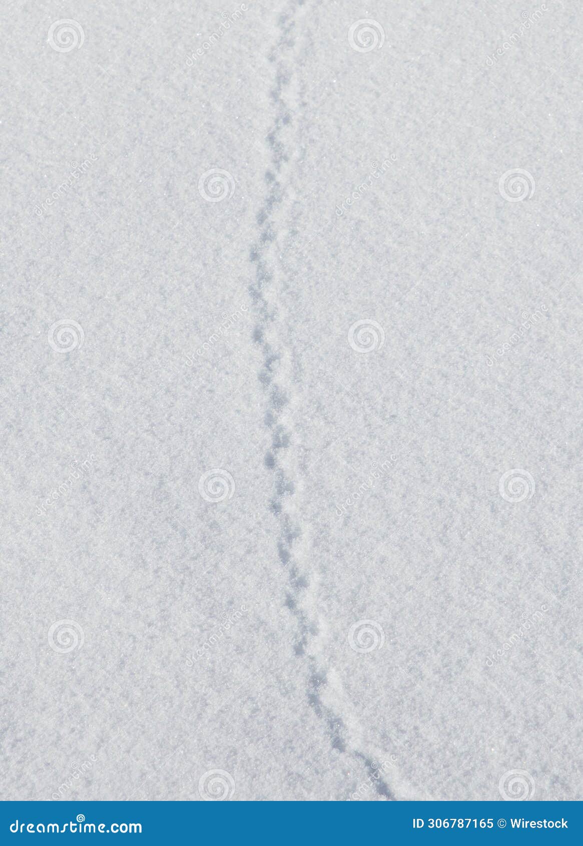 Footprints in snowy field stock image. Image of beauty - 306787165 Footprints in snowy field stock image. Image of beauty - 306787165