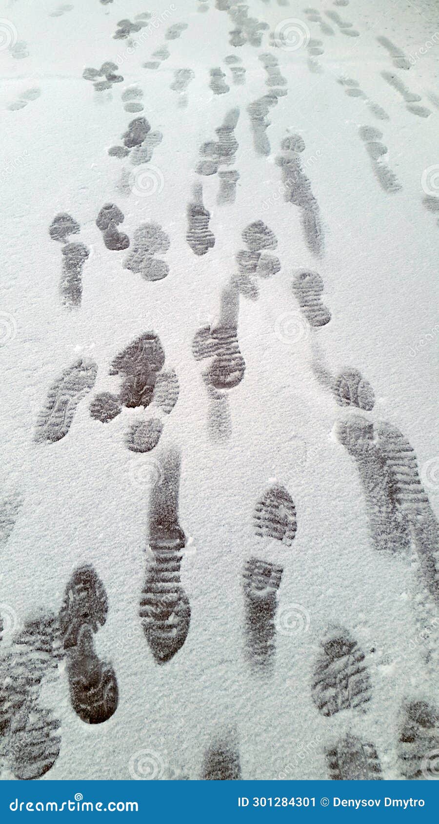 Footprints on the Snowy Surface. Snow Cover with Human Footprint Stock ...