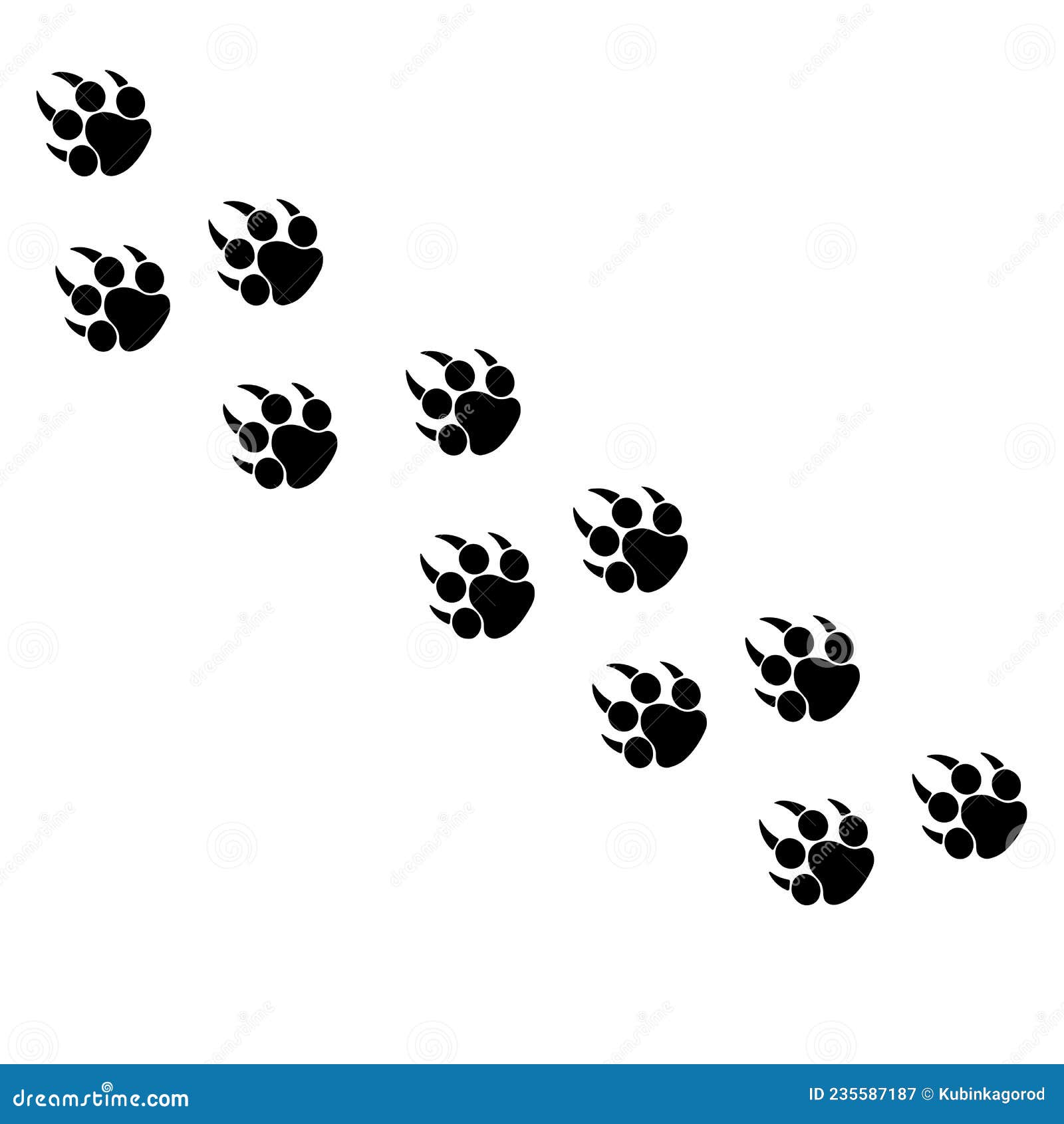 Footprints or Steps of a Big Cat. Tiger Traces Stock Vector ...