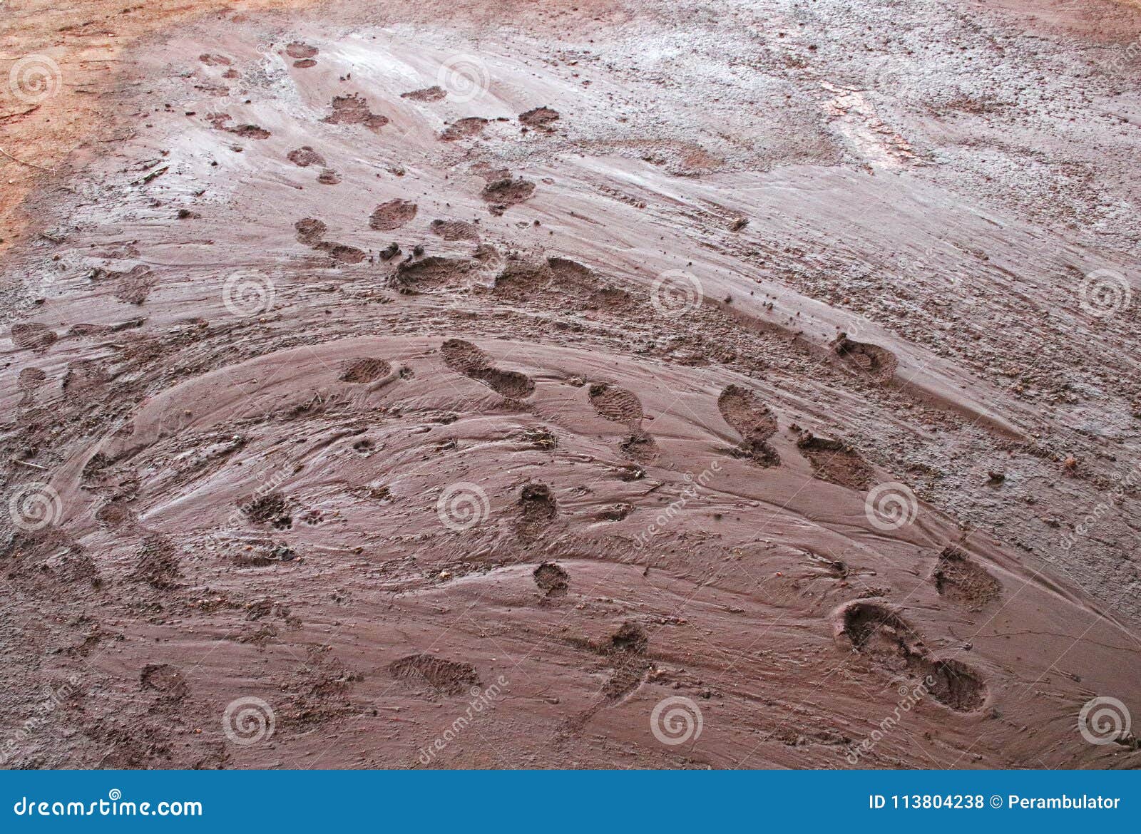 FOOTPRINTS in THICK LAYER of MUD Stock Photo - Image of sludge, view ...