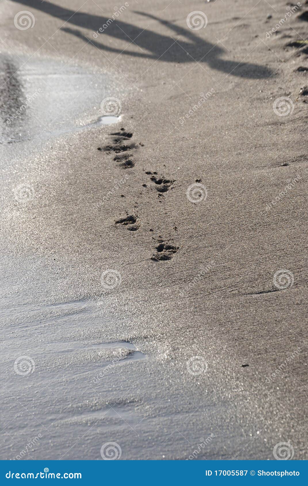 Footprints Towards after-world Stock Image - Image of crucifix, ghost ...