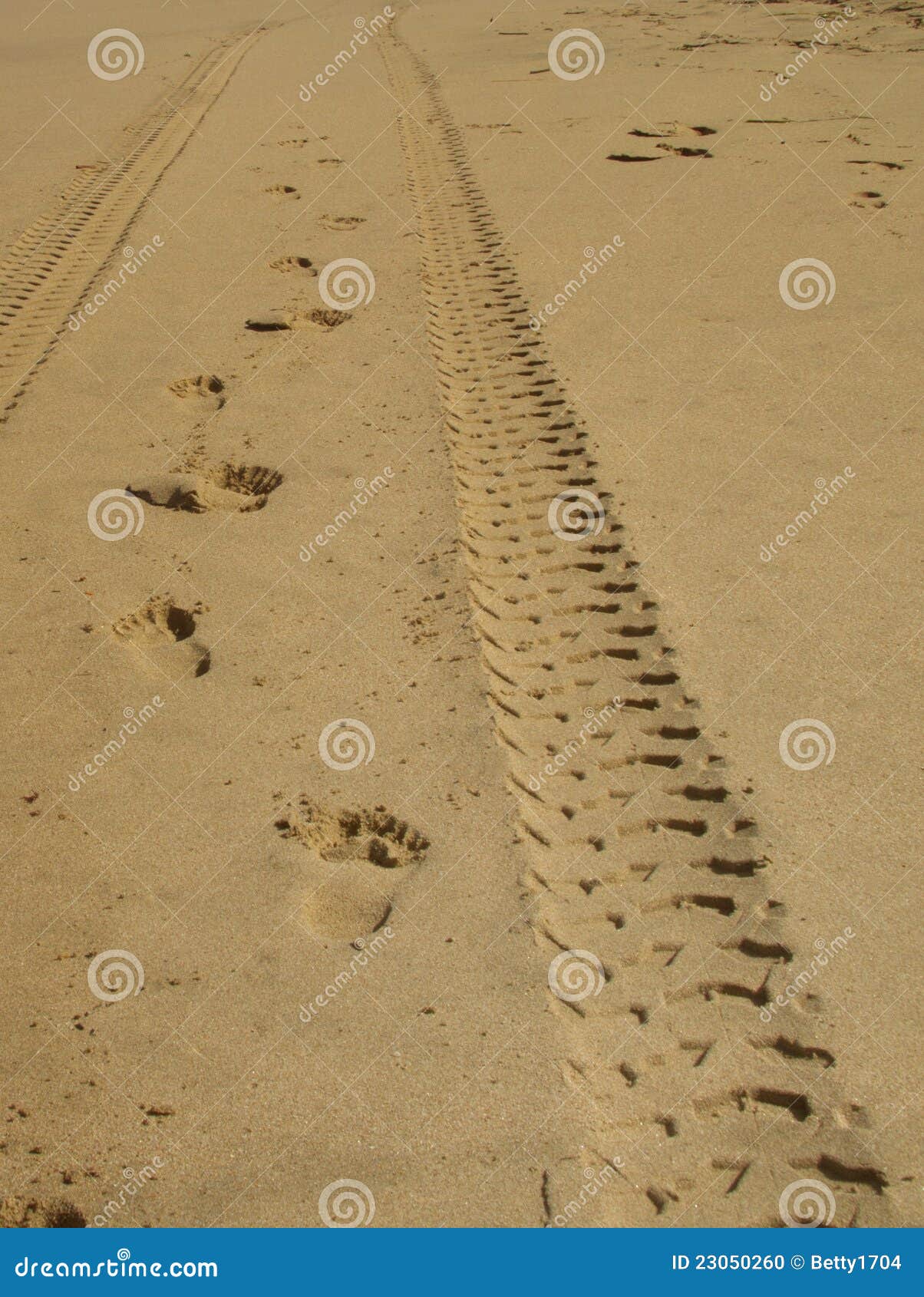 Footprints and tracks stock photo. Image of walking, track - 23050260