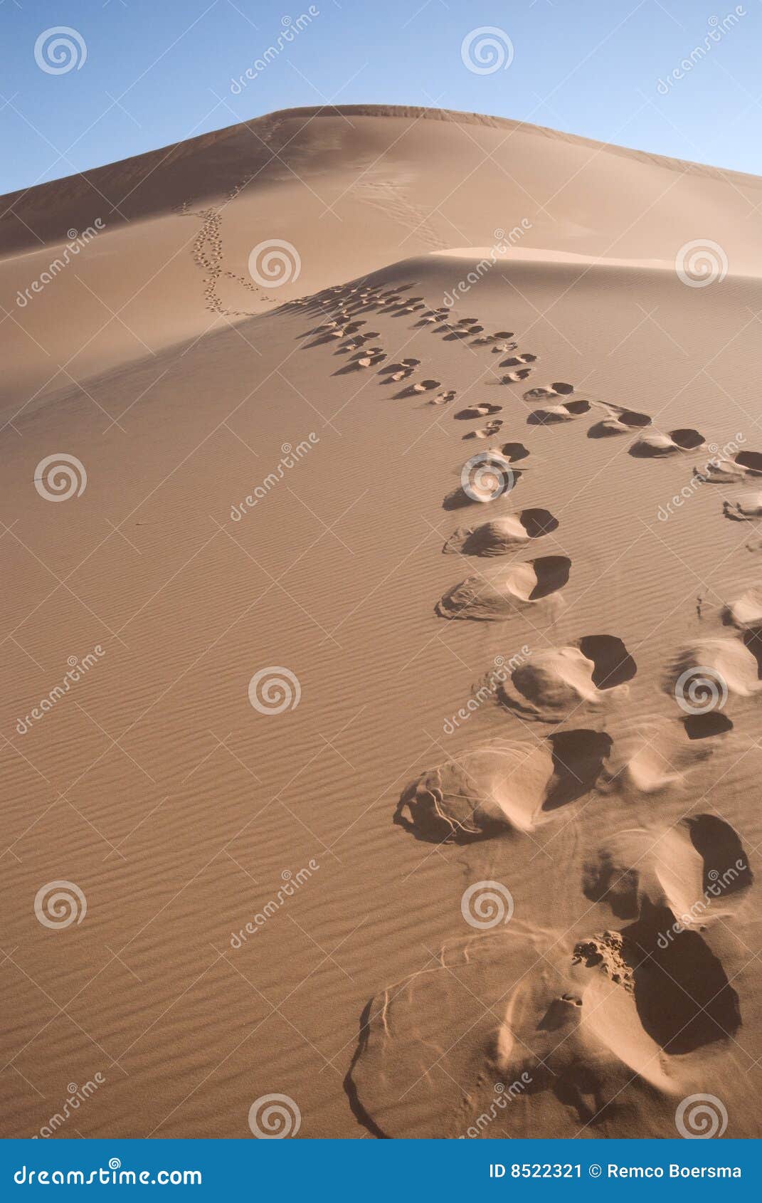 Footprints up a dune stock image. Image of hike, african - 8522321