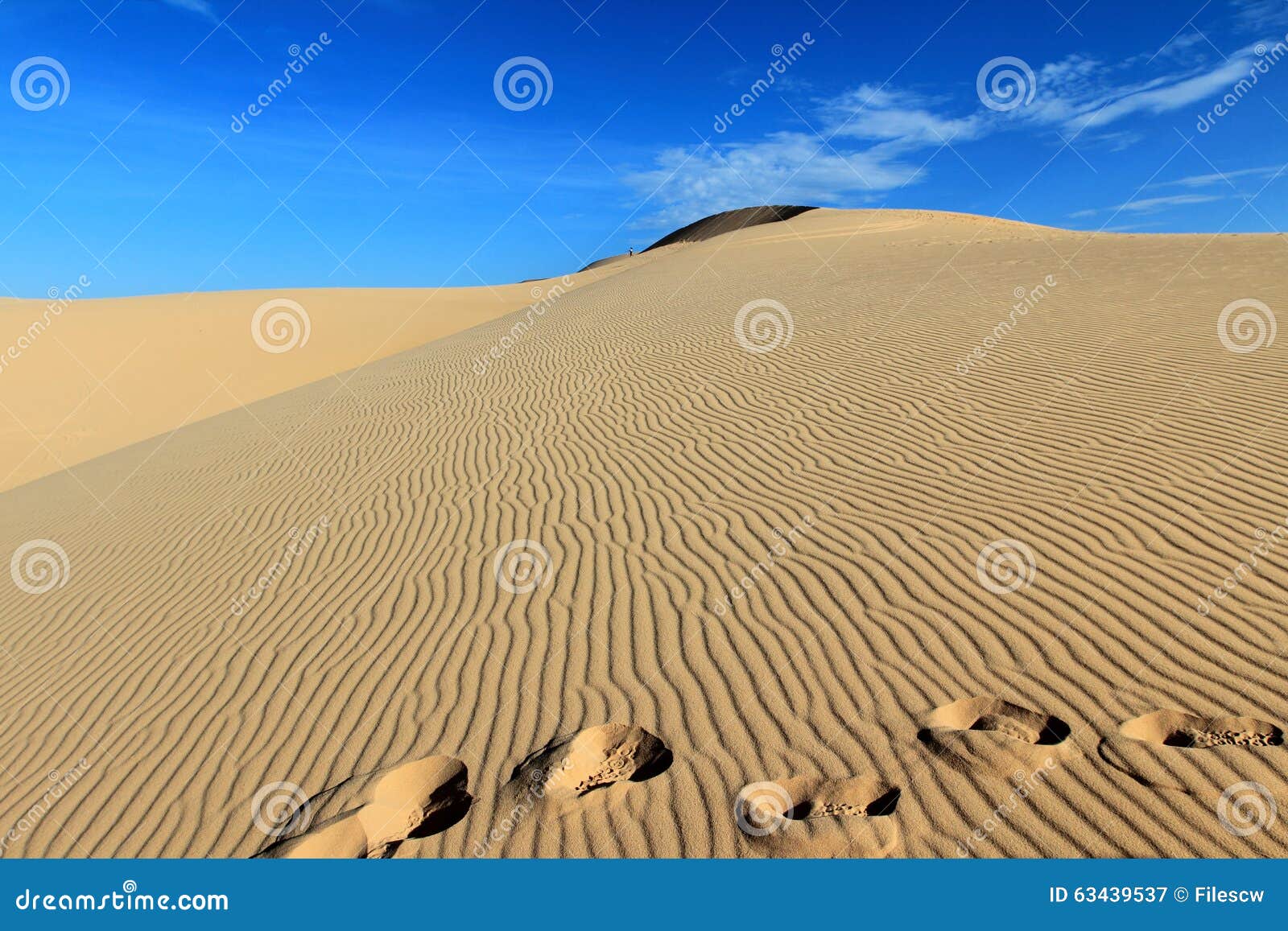 Dune And Wind Turbines Royalty-Free Stock Image | CartoonDealer.com ...