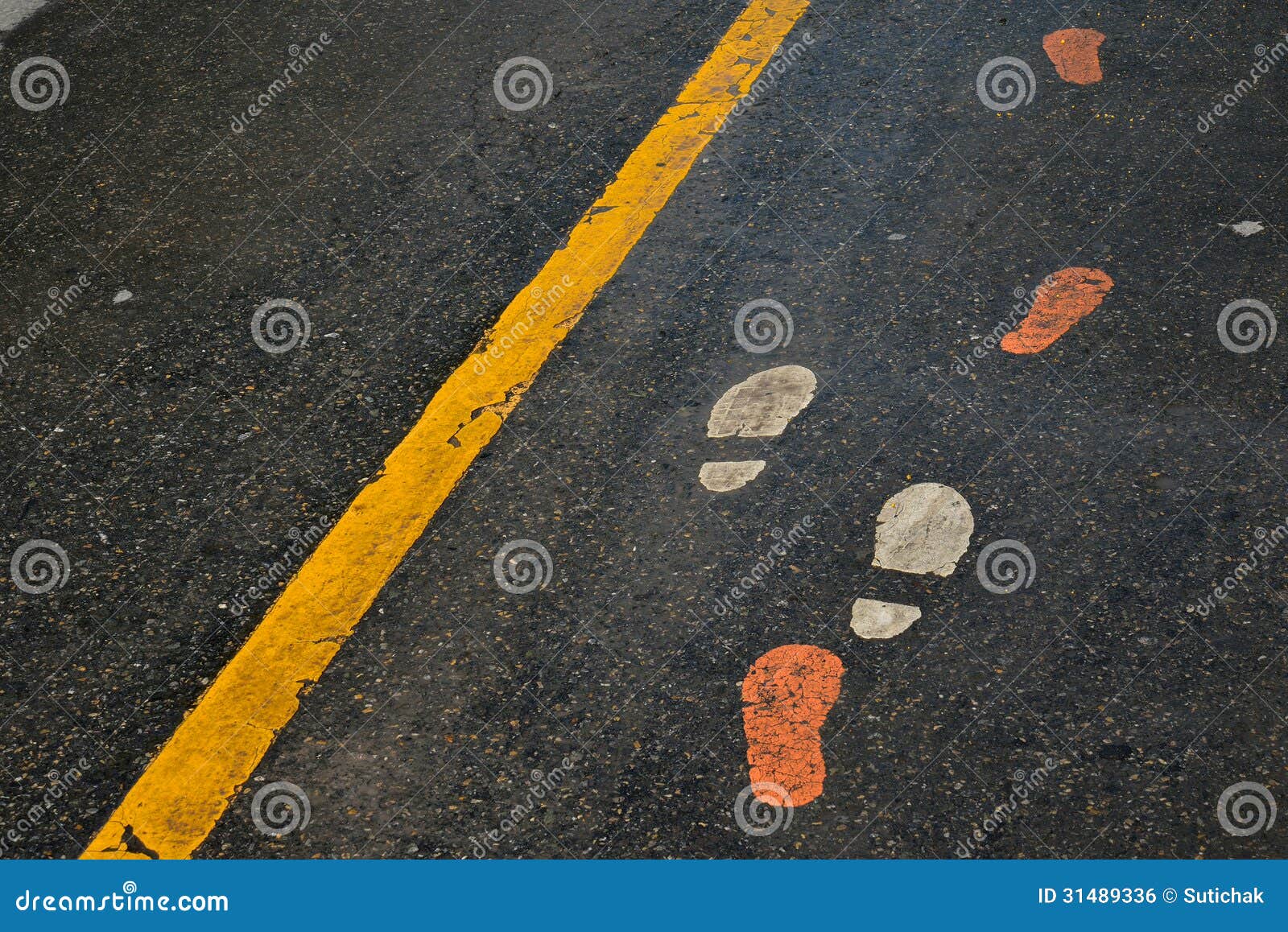Walking Track On Top Of The Muttonbird Island Nature Reserve In Coffs ...