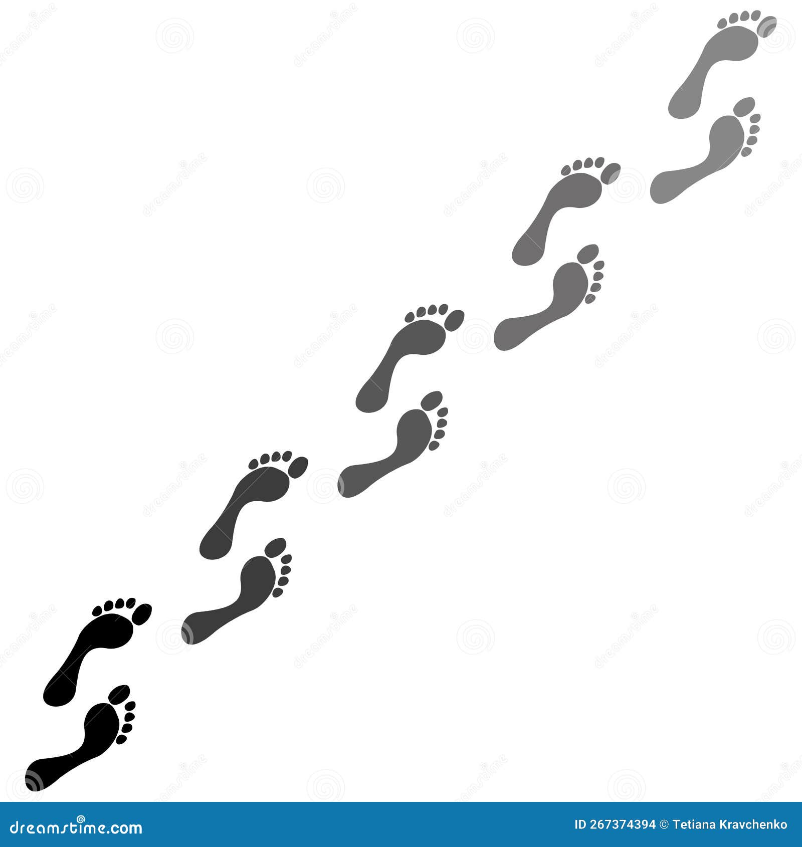 Footprints on White Background. Vector Illustration Stock Vector ...