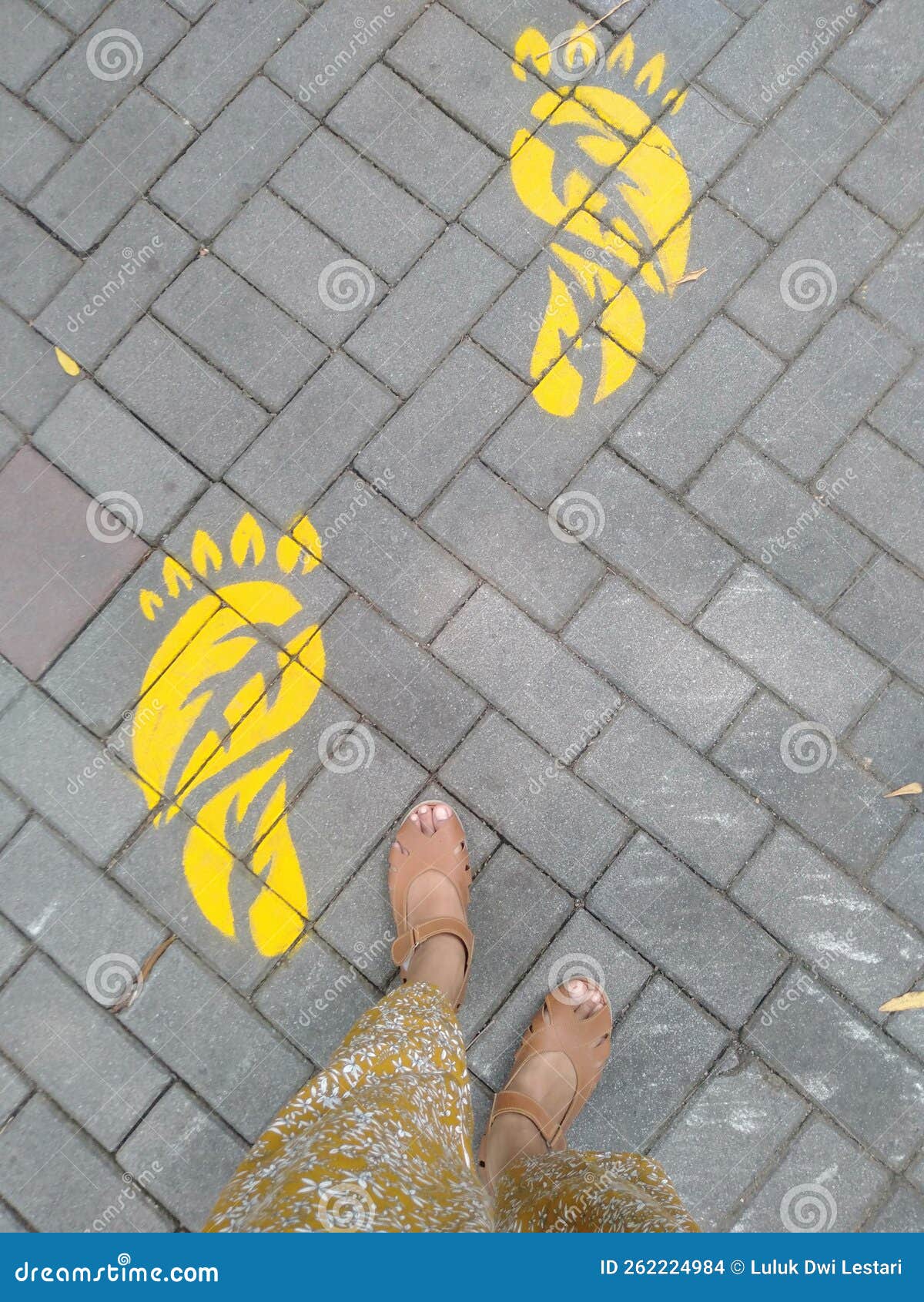 Footprints in the zoo stock photo. Image of footprints - 262224984