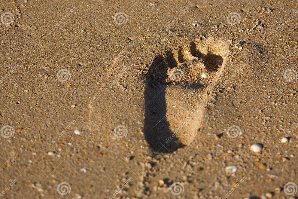 Footstep stock photo. Image of little, children, background - 13309166