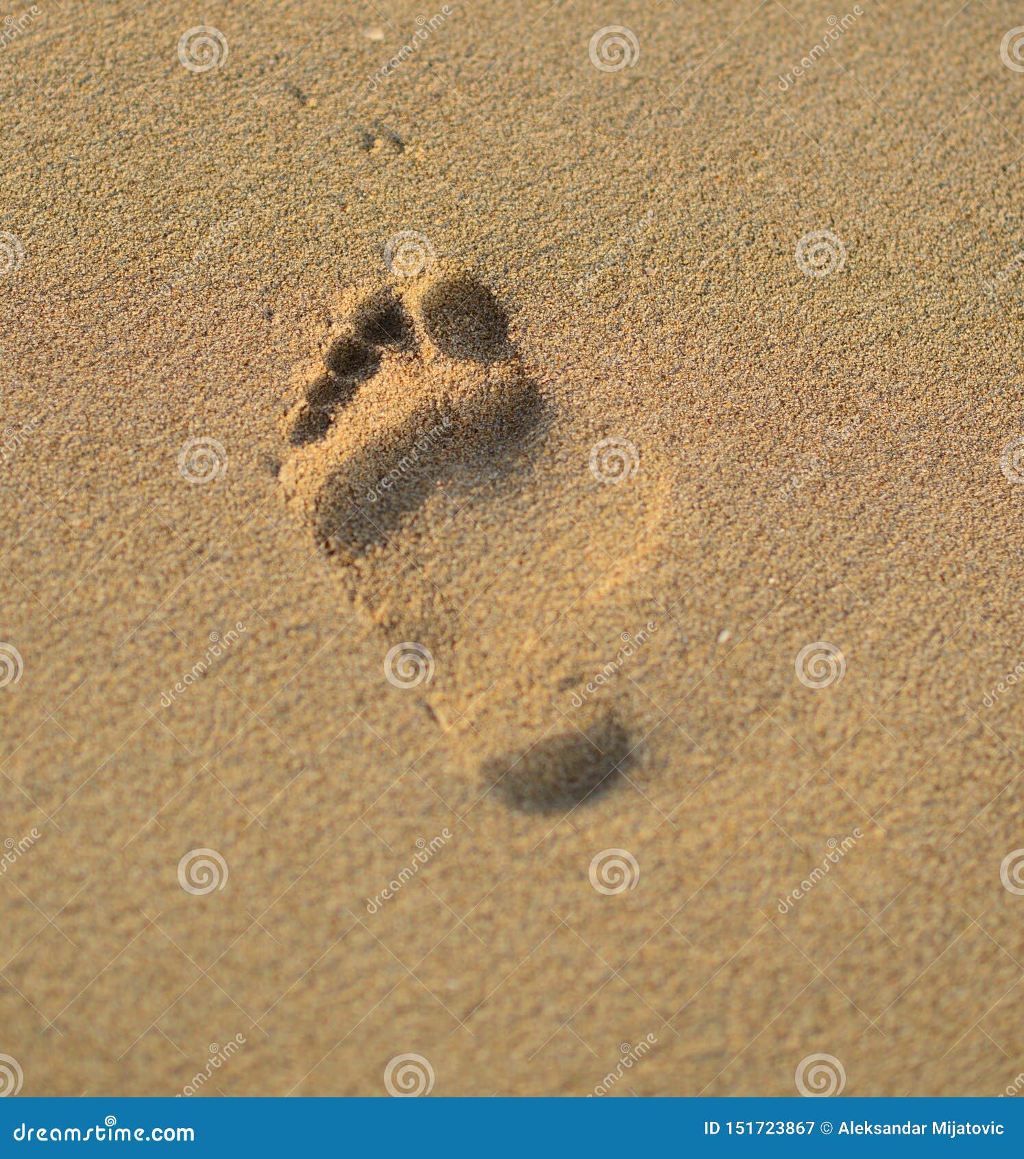 Footstep Beach Stock Images - Download 7,452 Royalty Free Photos