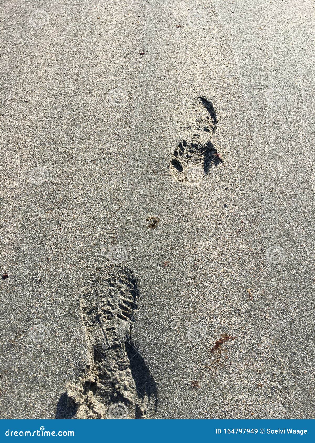 Footstep on the Beach. Sand Stock Image - Image of beautiful, footstep ...