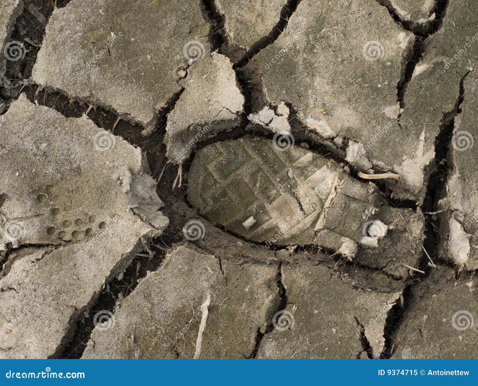 Footstep in dried soil stock image. Image of footstep - 9374715