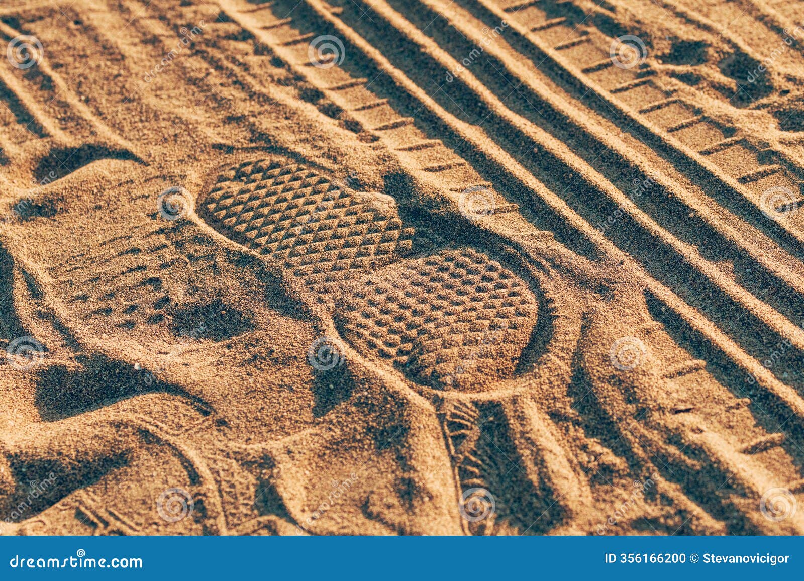 Footstep Imprint and Tire Track Tread Marks in Dust and Sand Stock ...