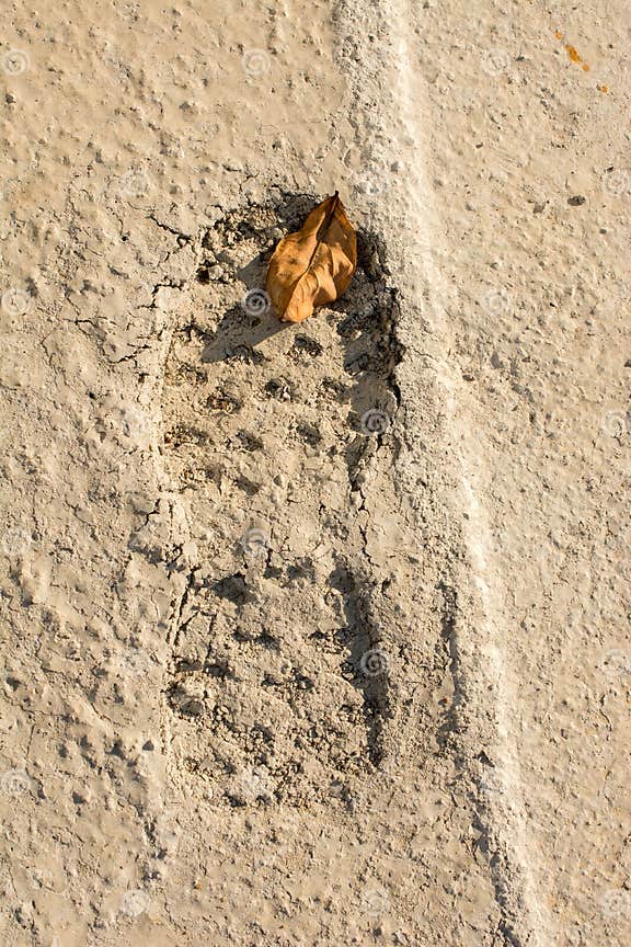 Footstep Pattern in Cement Concrete Stock Photo - Image of shoe ...