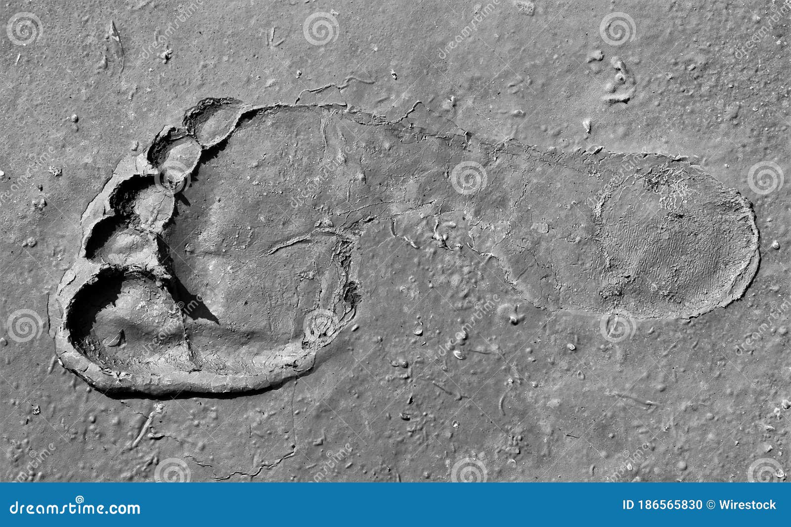 Footstep of a Person on the Mud Stock Photo - Image of grey, shape ...