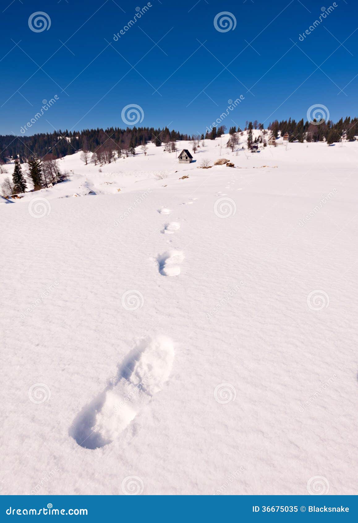 Footstep Trails at Snow by Sunny Day Stock Image - Image of winter ...