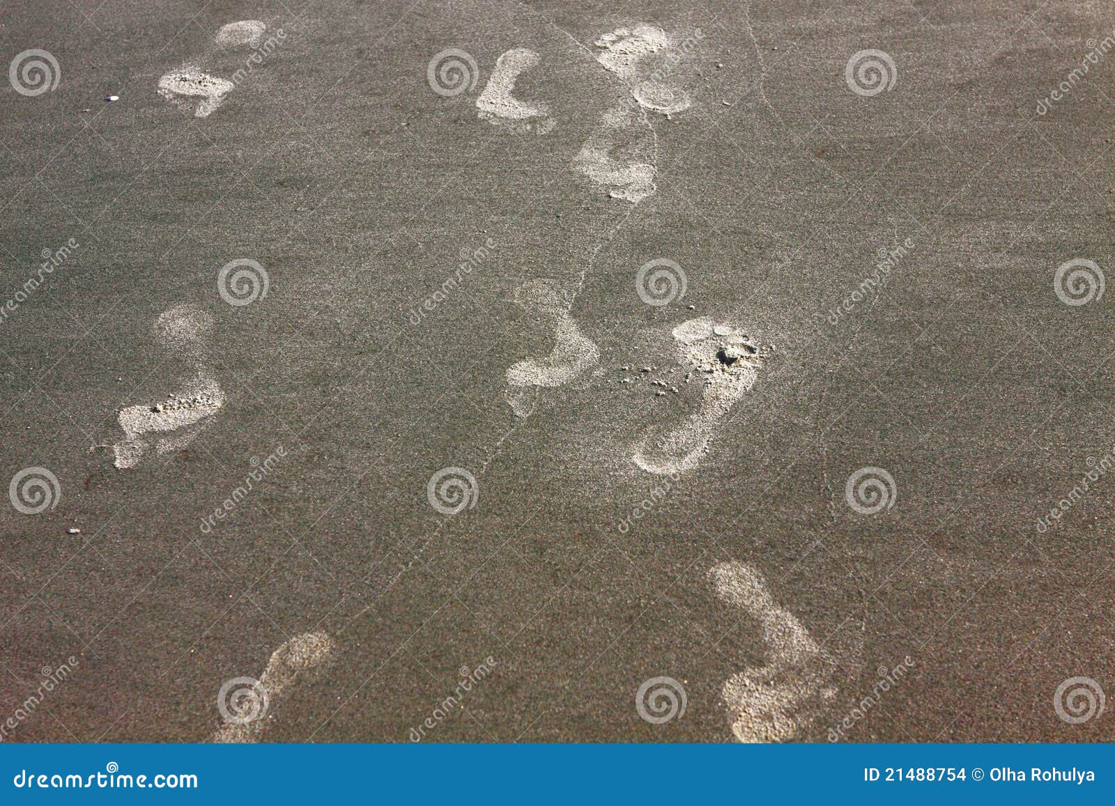 Footsteps stock photo. Image of direction, contrast, nature - 21488754