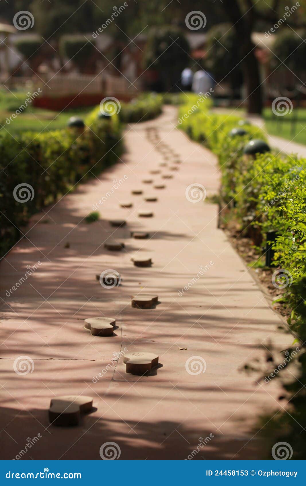 Footsteps stock image. Image of destinations, leaving - 24458153